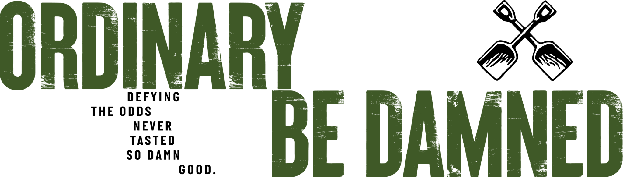 Alcoholic Ginger Beer - James Squire