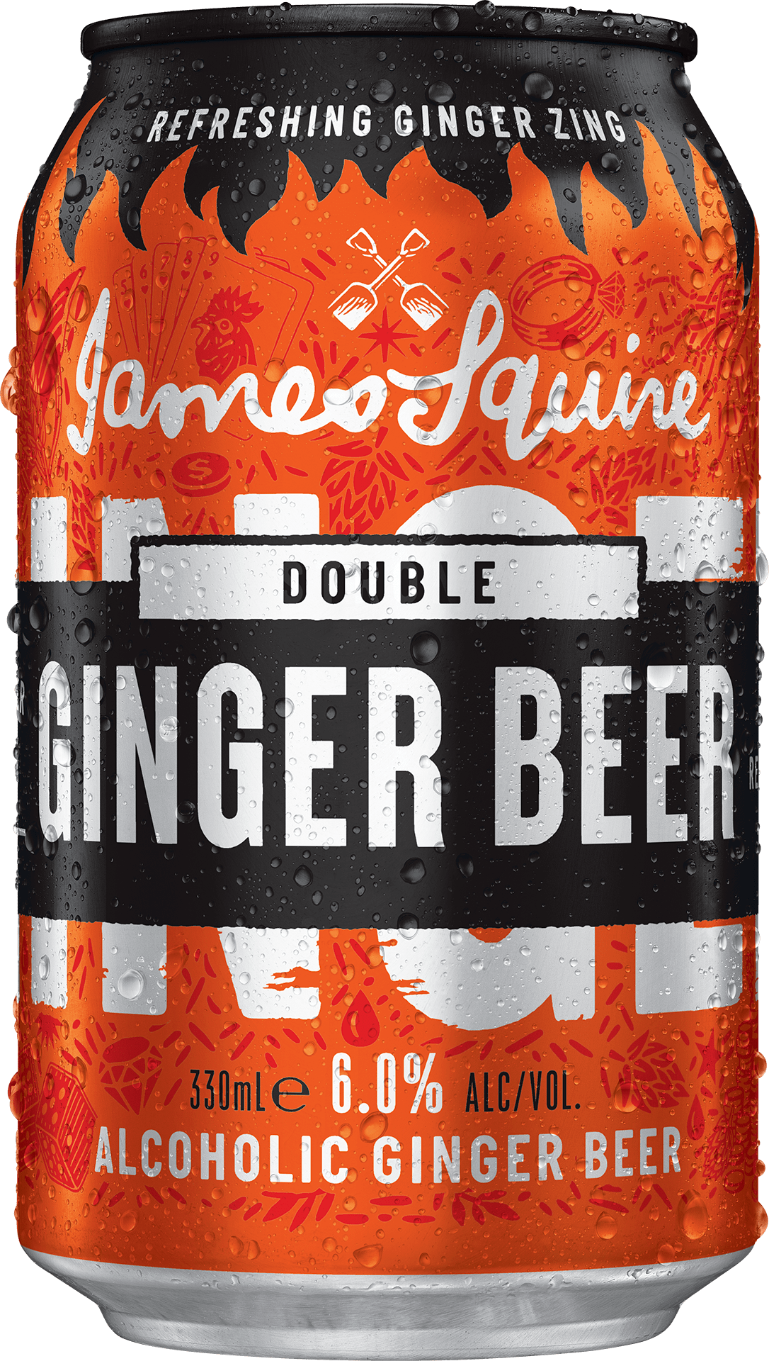 Alcoholic Ginger Beer - James Squire